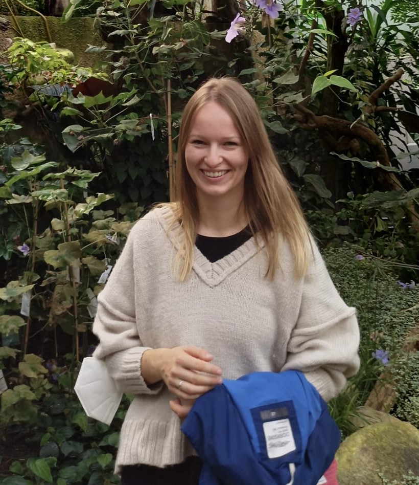 Und vor der Hecke – ja, was eigentlich? – blogsatz